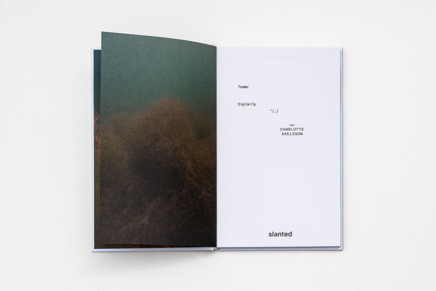 Slanted: IA, tipografía y entornos digitales | Rayitas Azules | Diseño Editorial y Tipografía